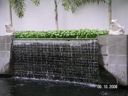 ichsan koi farm: veggie filter (filter tanaman)