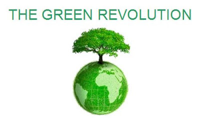 Pengertian Revolusi Hijau, Dampaknya, serta Keberadaannya di Indonesia ...