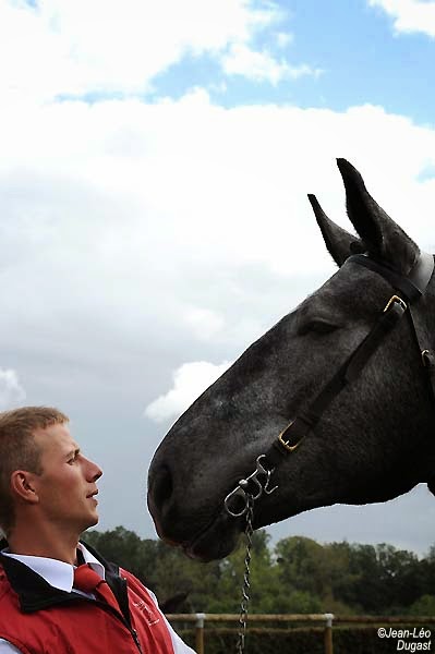 Percheron International: Le Percheron Dans Tous Ses États