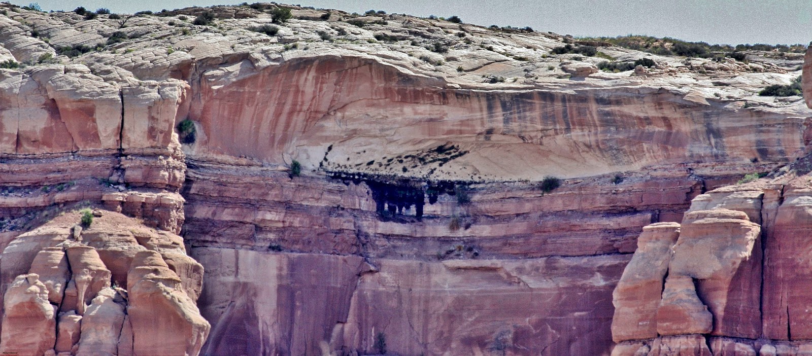 The Southwest Through Wide Brown Eyes: Double Stack to Fishmouth - Comb ...
