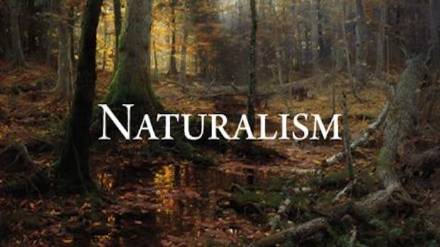 Mormon Naturalism | The Transfigurist
