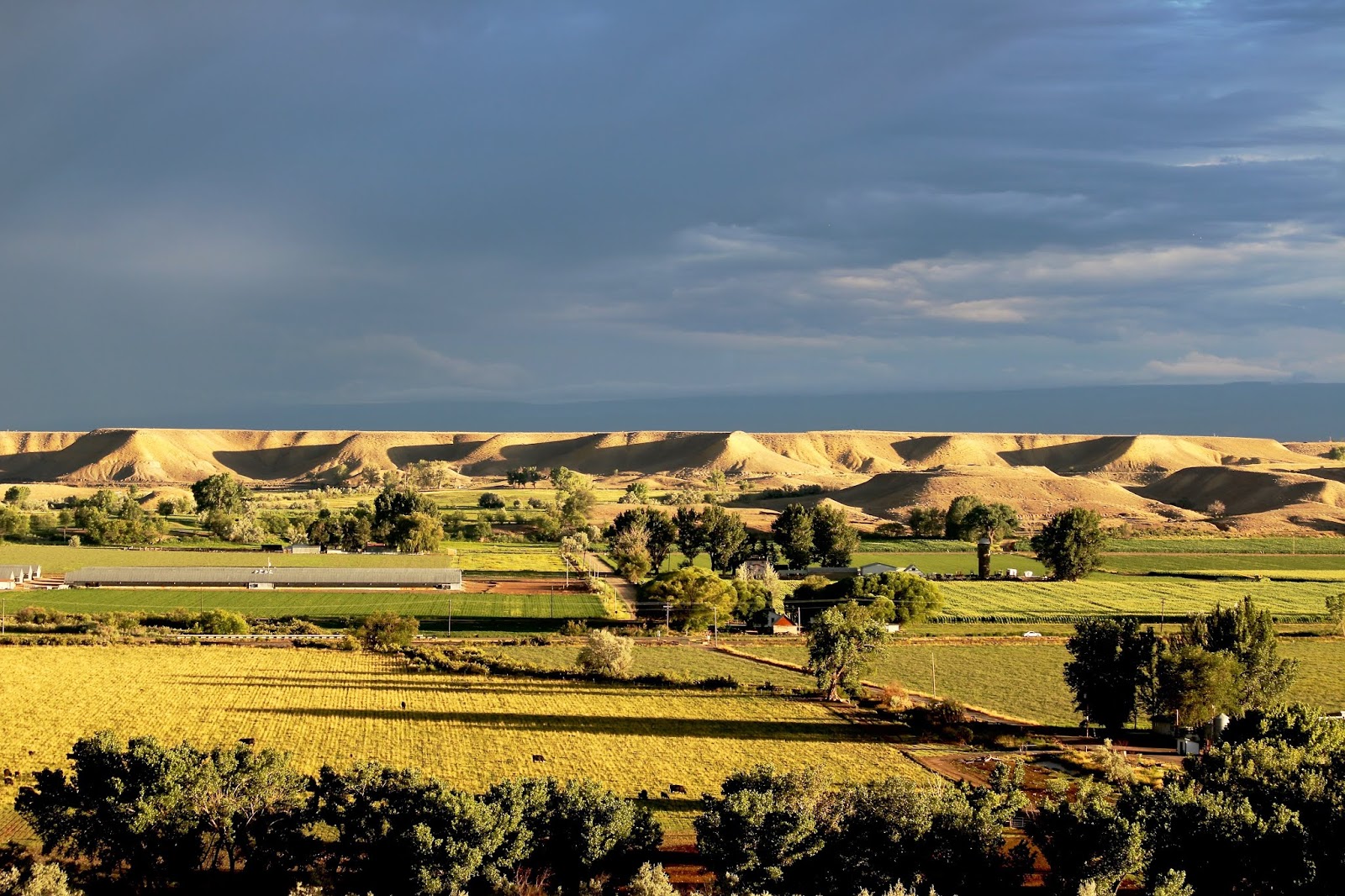 Arleta Pech's Art Tips