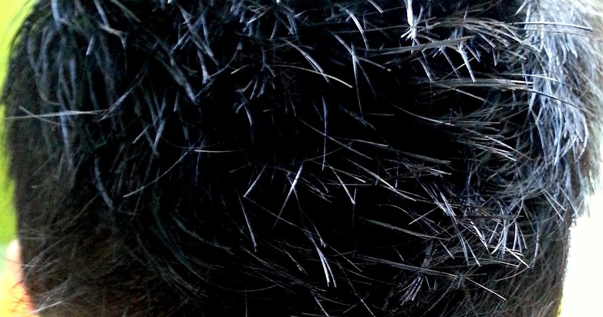 Aku Kaget: Gunting Rambut Model Landak