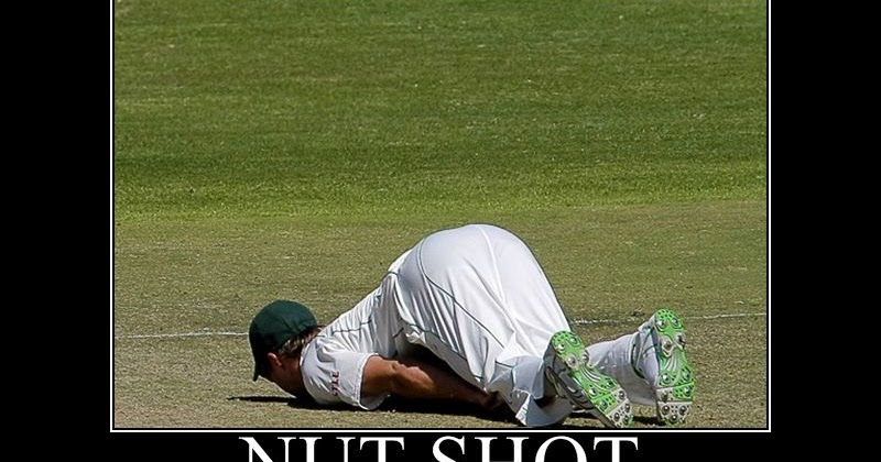 Movies Tell Me How to Think: The New Nut Shot