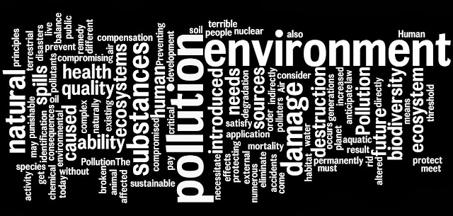 English stuff ESL: ENVIRONMENTAL ISSUES (intermediate)