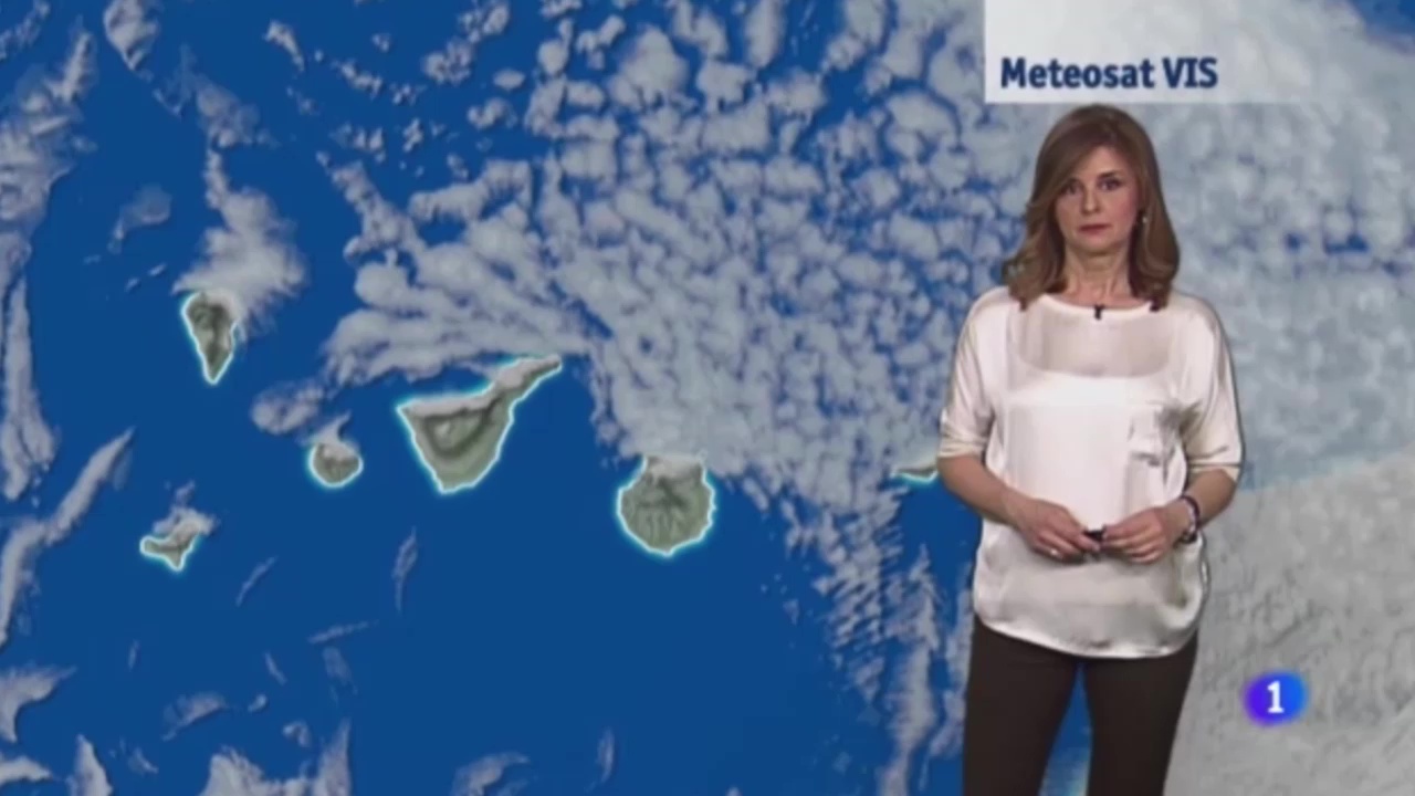 TVcollector: Ana de Roque