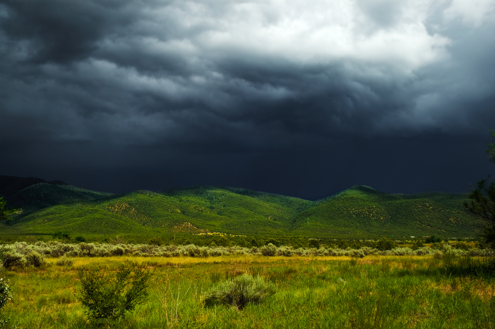 The Nickel and Dime Ranch: New Mexico Monsoon Days