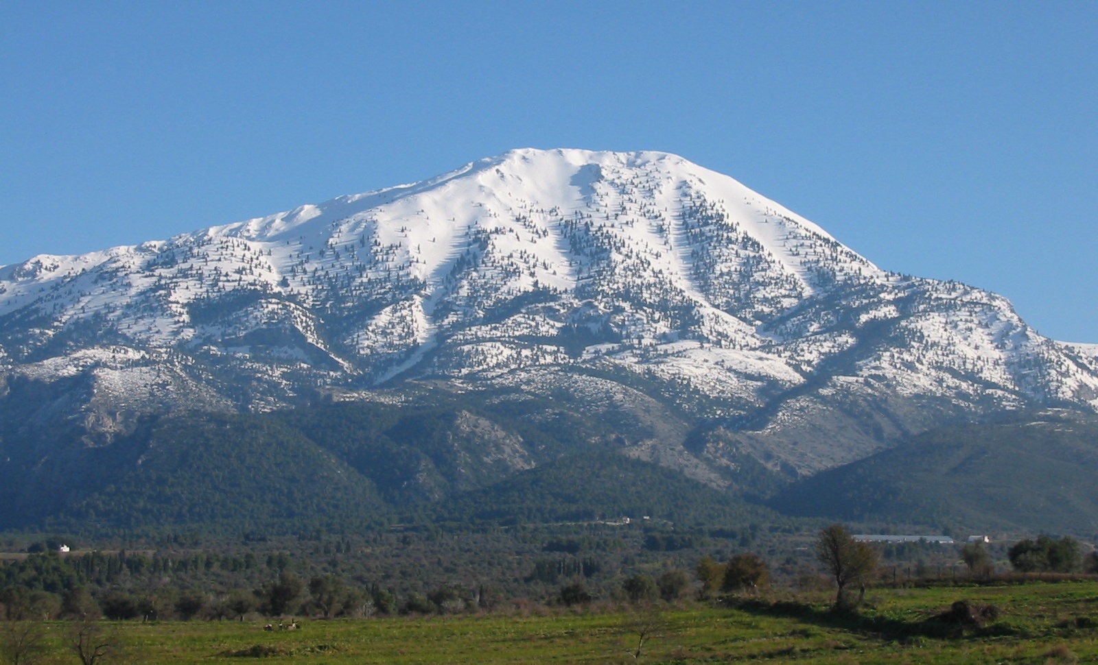 ΨΑΧΝΑ ΕΥΒΟΙΑΣ - παραδόσεις, ήθη, έθιμα της Μεσσαπίας: 2013