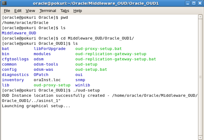 More than just Identity & Access Management: How to Installation ...