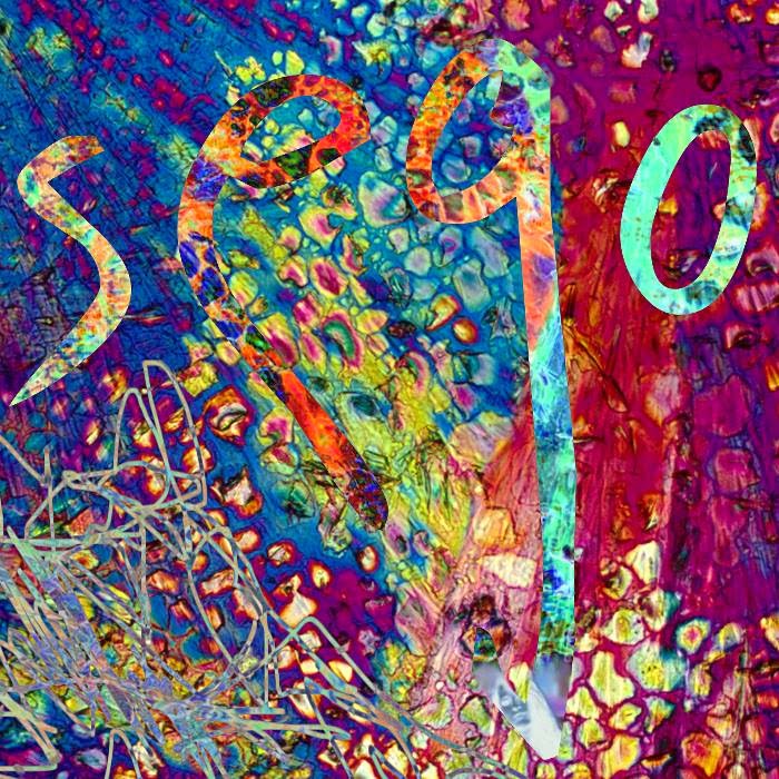 Indie Obsessive: “20 Years Tall” by Sego – A song Review (and Ramblings)