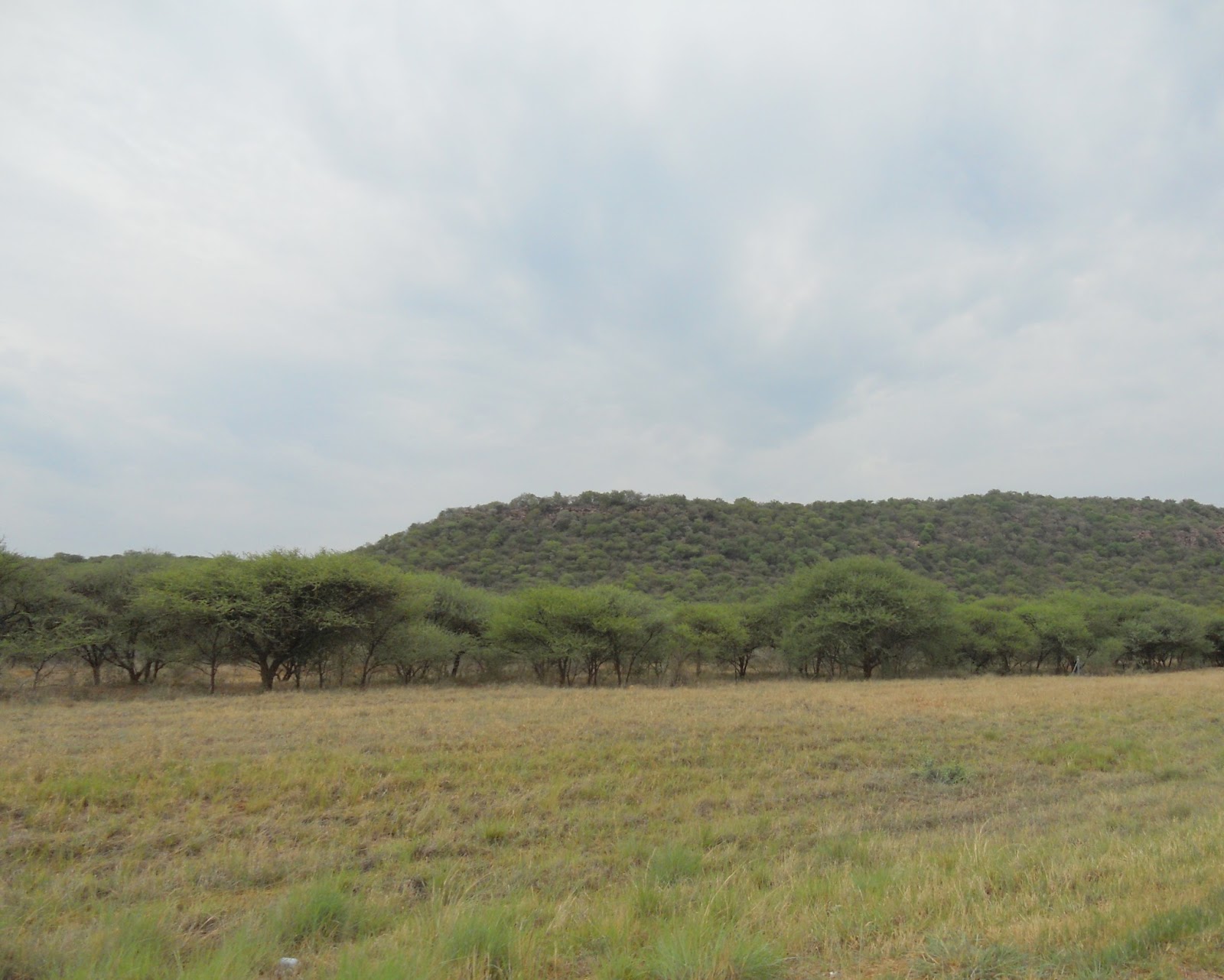 Beautiful Botswana: Simple Thamaga Village