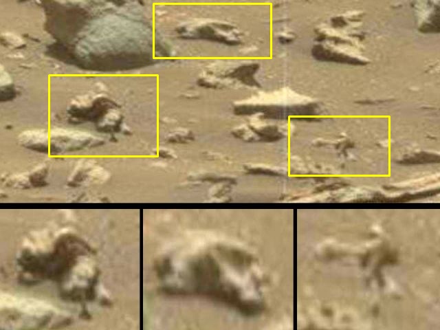 There is life on Mars but it has evolved in a different way – weird ...