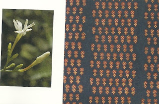 Reading Cloth: Block Printing From Balotra