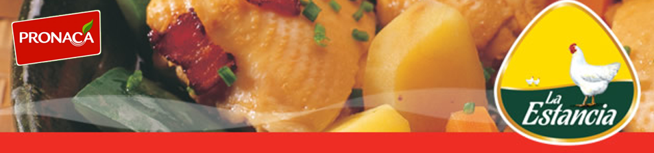 EMPRESA PRONACA: HISTORIA