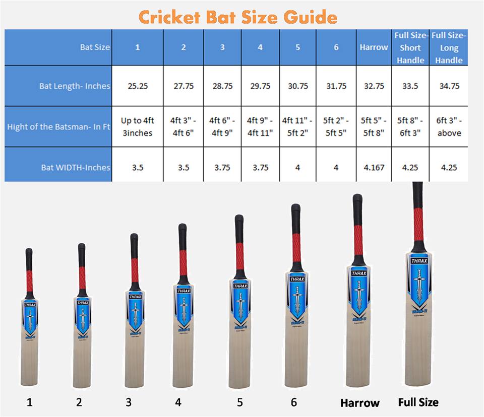 How To Choose A Cricket Bat In Hindi how-to-choose-a-cricket-bat-in-hindi