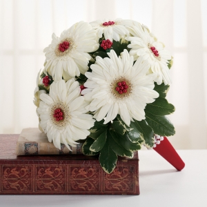 FLOWER SHOP: White gerbera daisy flowers.