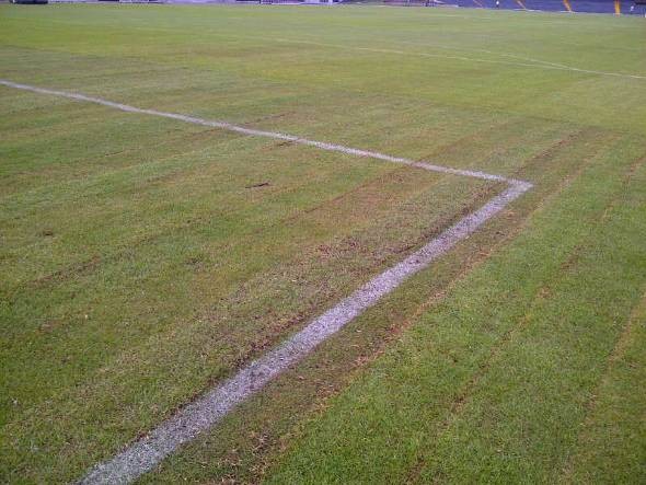 GOL ASEGURADOR: El Autogol del IDRD con la gramilla del Campin