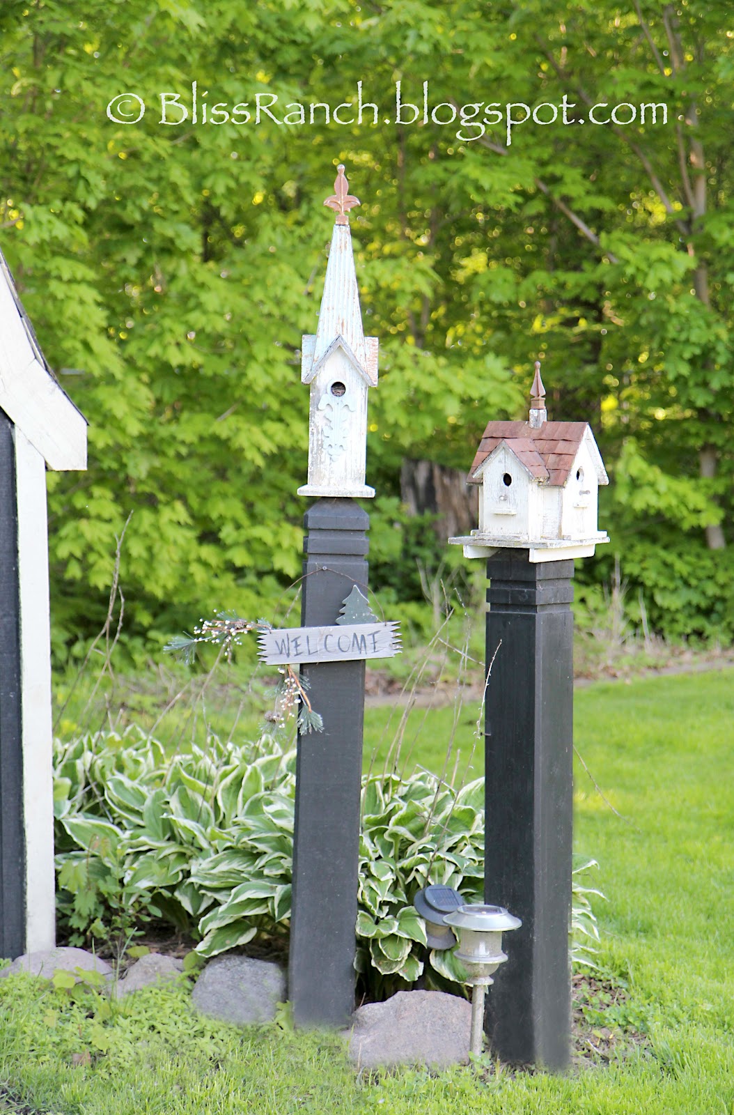 Bliss Ranch: The Green Grass of Home