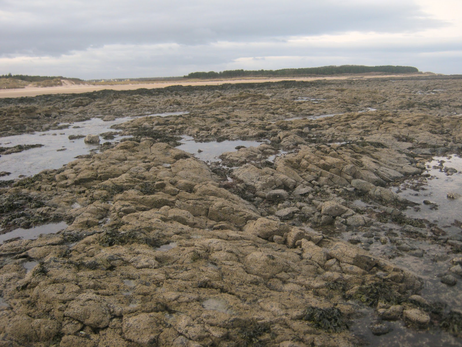 coastrider: Spring Tides Beach Rides...
