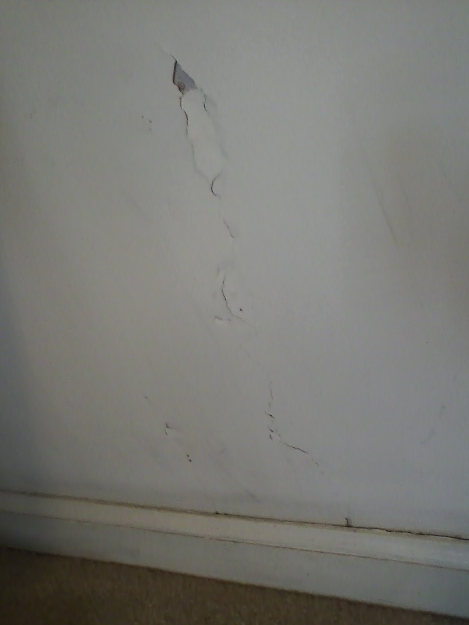 Laura's Legacy: Termite damage