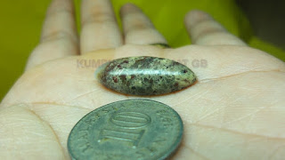 BLOG UTAMA Y.M PADUKA AYAHANDA PAY 8: GELIGA ULAR KATAM TEBU