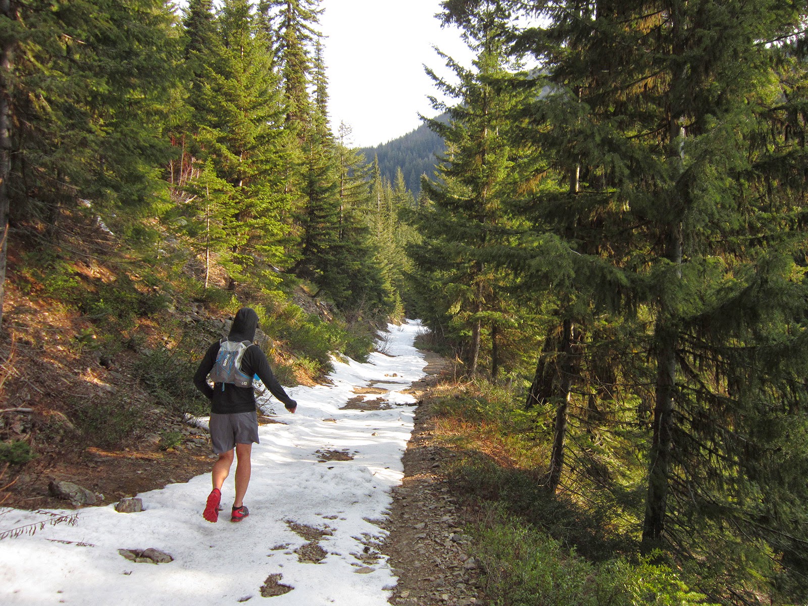 Seeking Ultra: Mad River-Sugarloaf Peak loop, southern Entiat Mountains