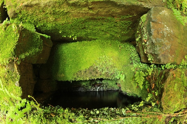 Land of the Fae: Energising the Sacred Springs of North Yorkshire