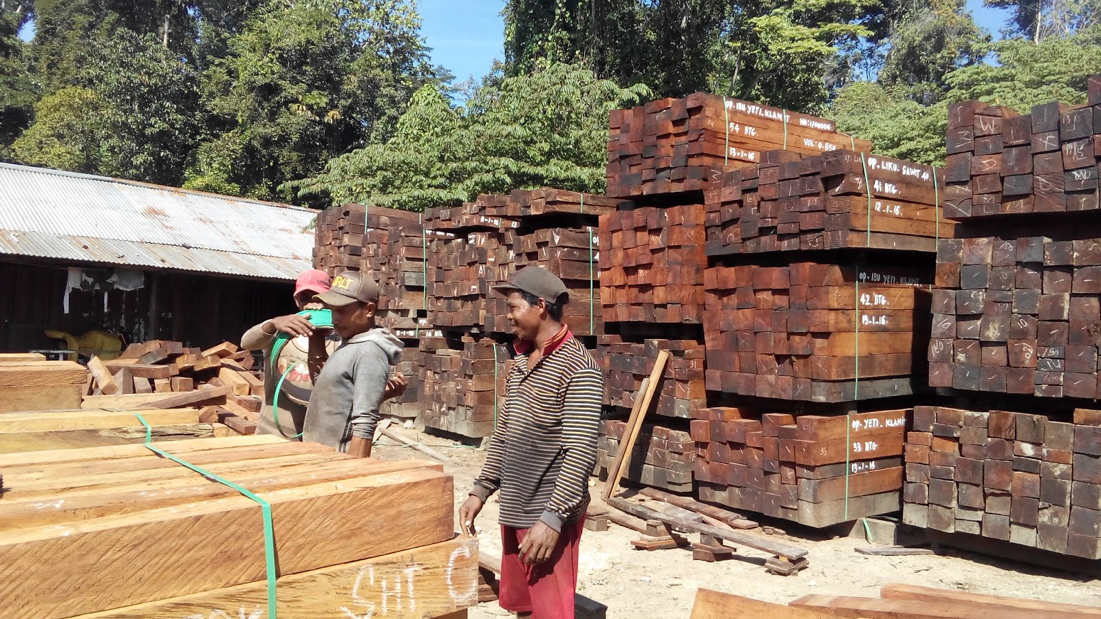 SUPPLIER KAYU MERBAU PAPUA | Supplier Merbau PT. Sariwana Unggul Mandiri