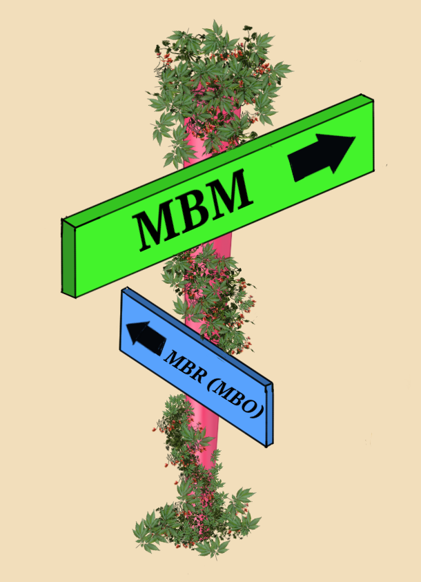 LeanVets: Management By Means