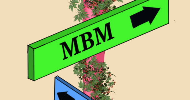 LeanVets: Management By Means