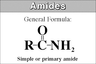 chemistry: amide bond