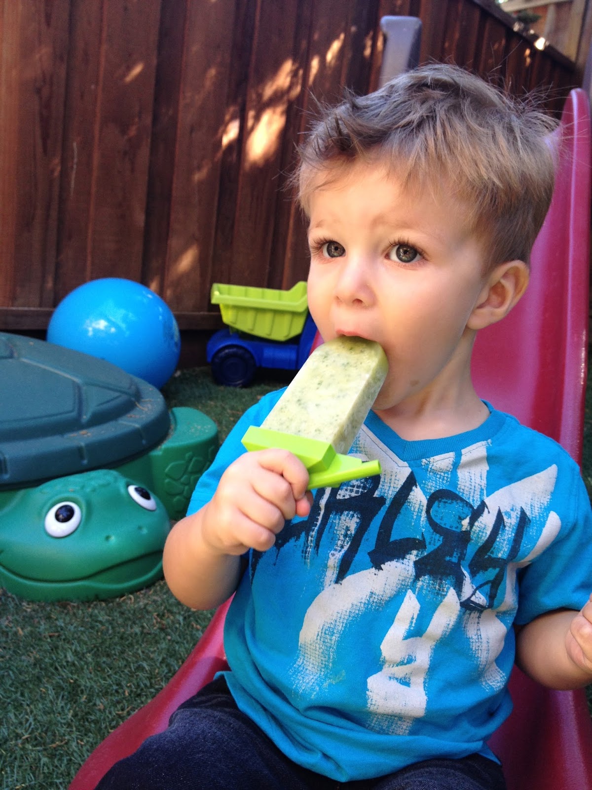 Hamady Family: ultimate summer catch up