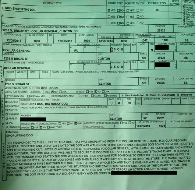 Adam Woolman's Instagram, Twitter & Facebook on IDCrawl