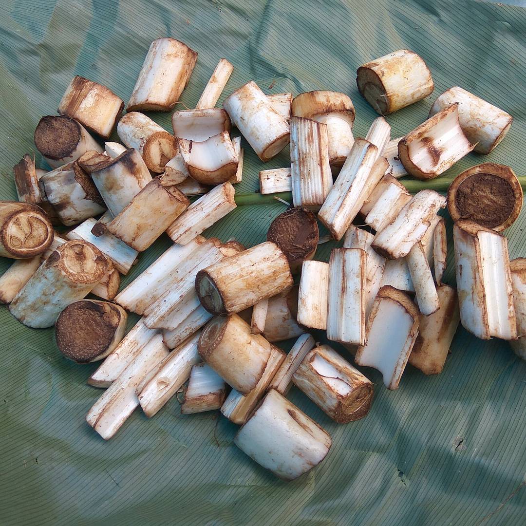 Mizo Chawhmeh (Mizo Foods/Curry) | TIMES OF MIZORAM