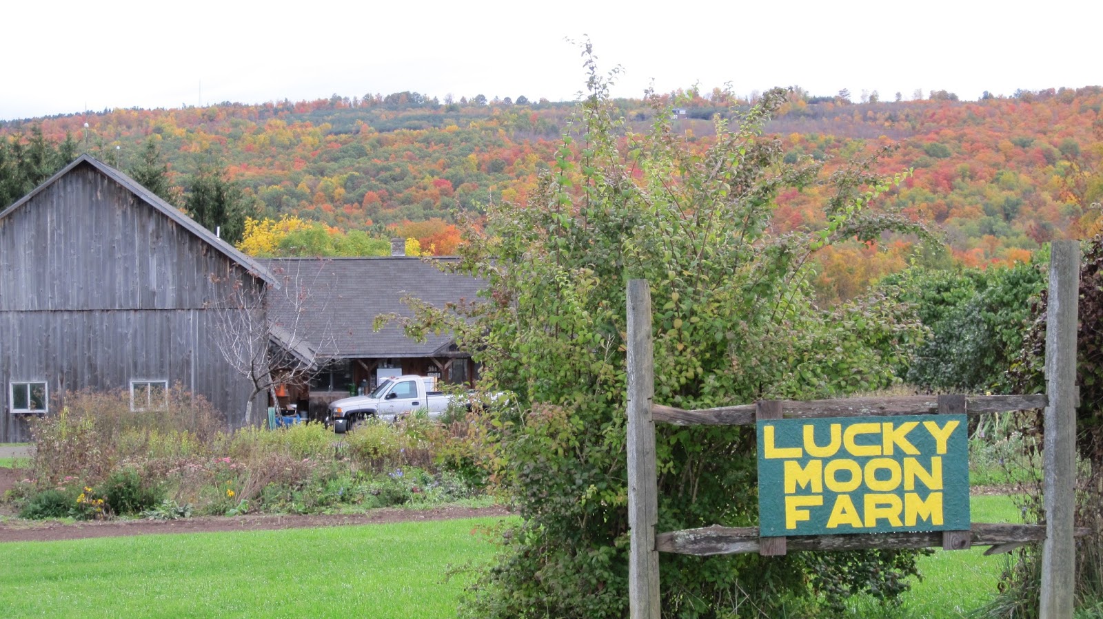 Lucky Moon Farm