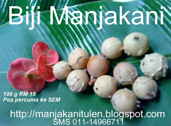 Serbuk Manjakani Tulen