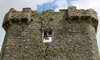 Historic Sites of Ireland: Shrule Castle