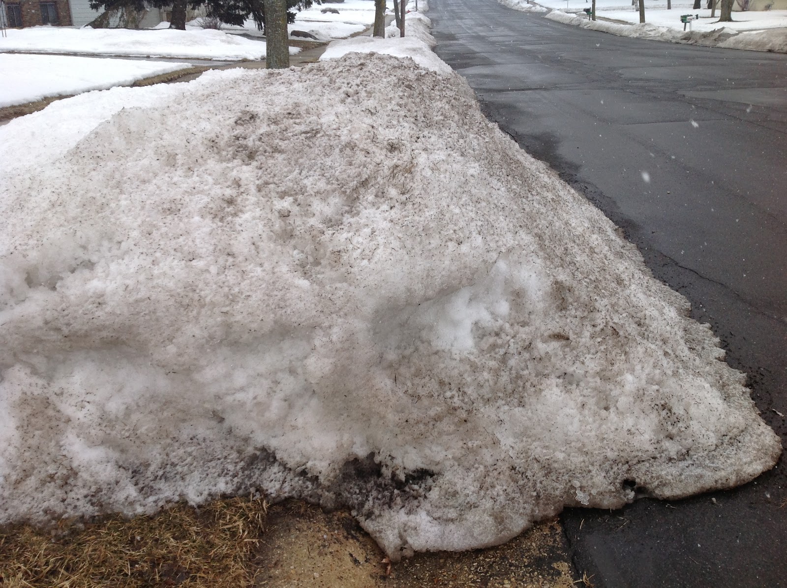 "Goodness in the Garden": "The Unmistakeable Charm of a Melting Snow Bank"