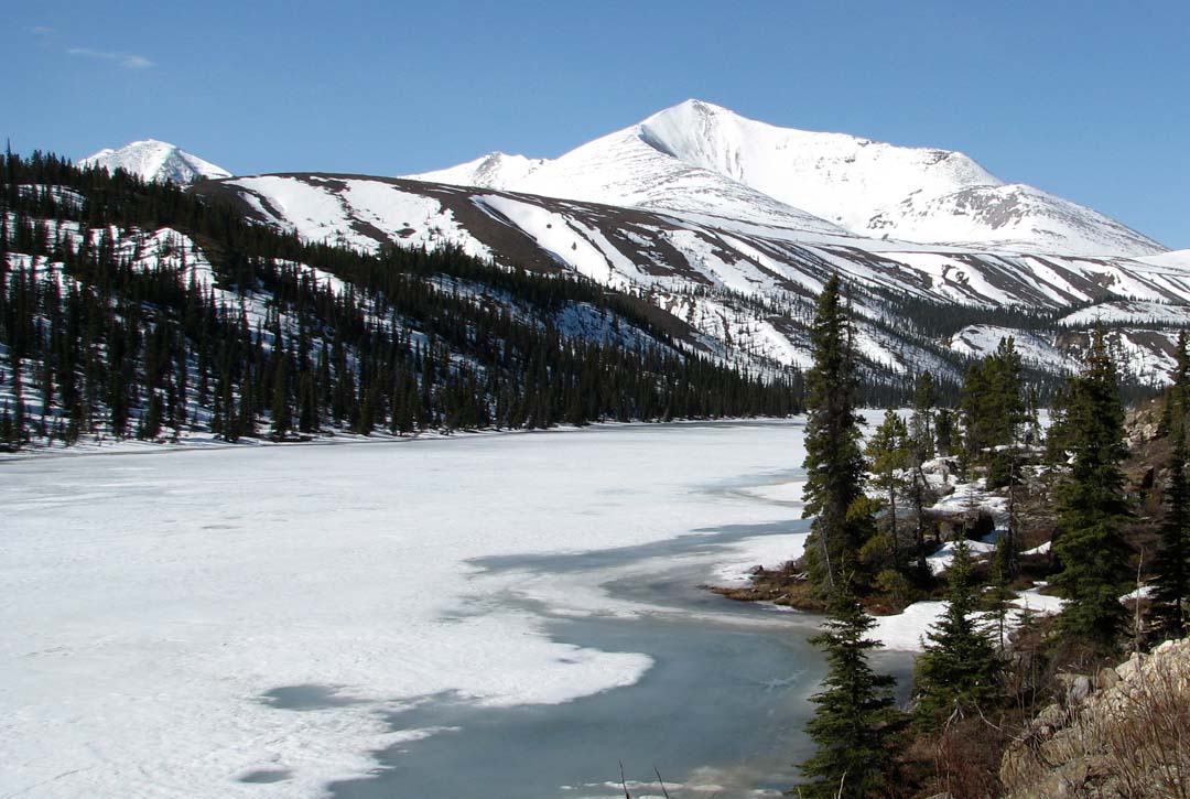 Married To A Birder: Transcontinental Trek 2011 Day 9: Fort Nelson ...