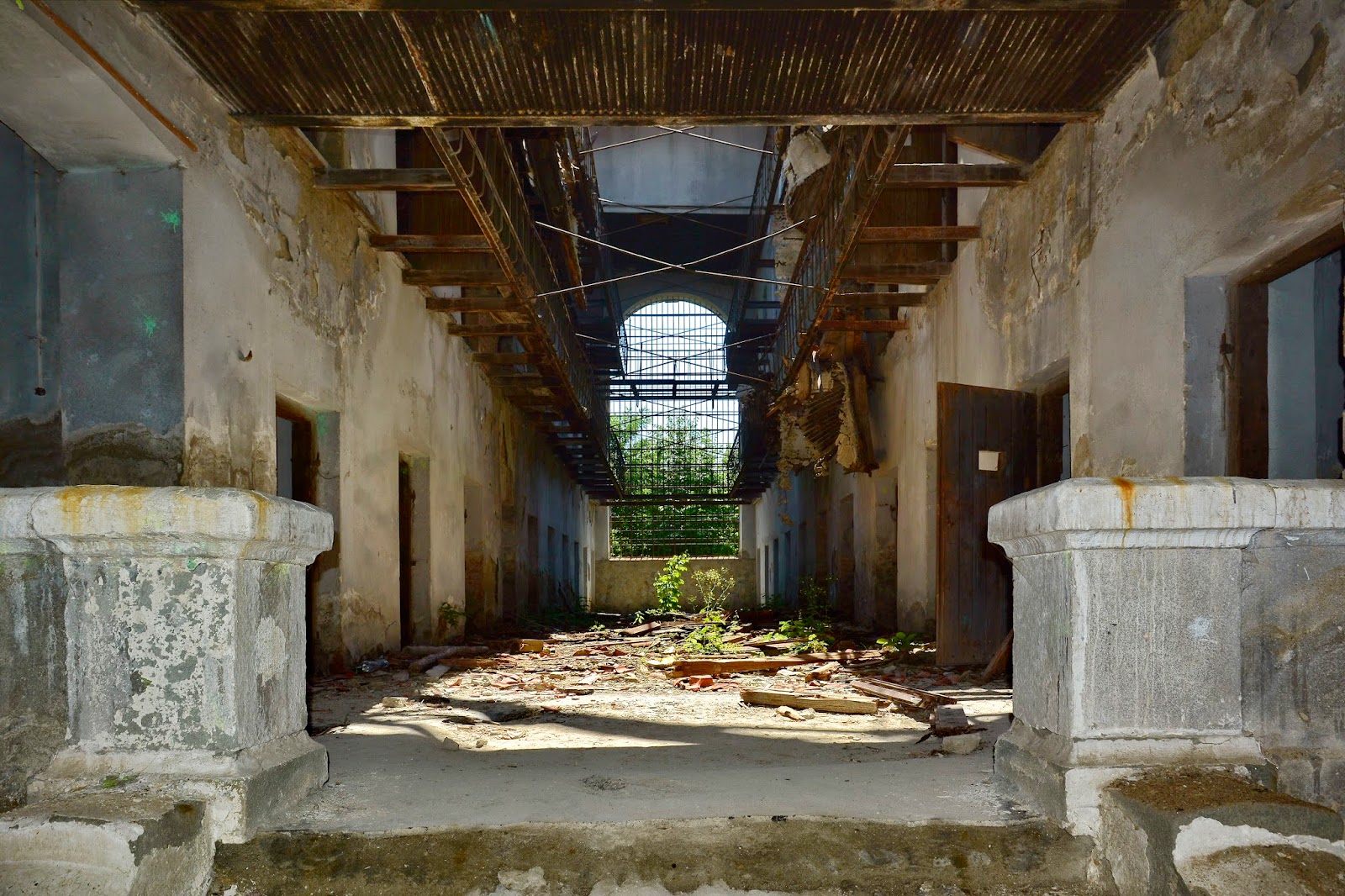 passion and art - the camera can see what our eyes can't - only for ...