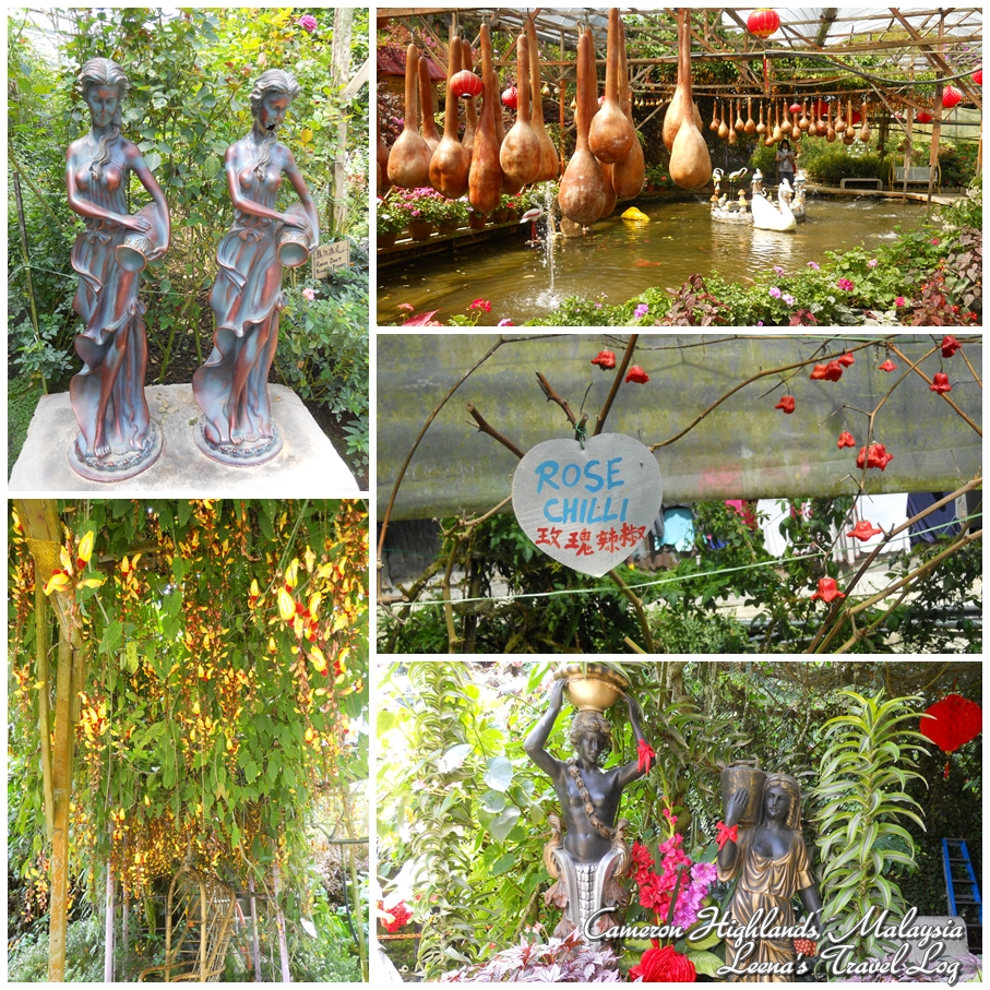 Leena's Travel Log: Cameron Highlands 2012 : 2 days 1 Night Trip