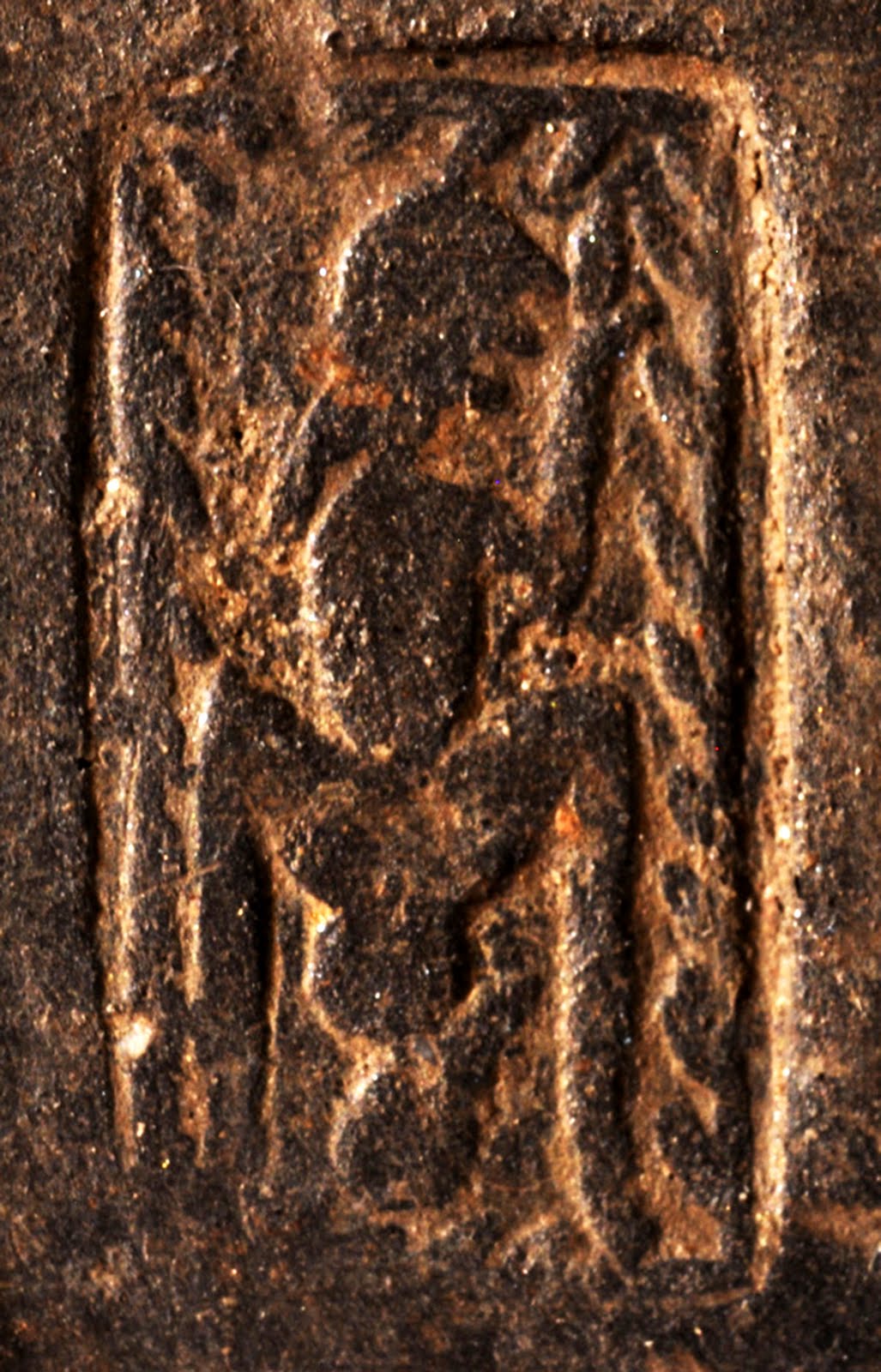 Divulgación Científica: Etruscos: la magnificencia y esplendor de una ... Divulgación Científica: Etruscos: la magnificencia y esplendor de una ...