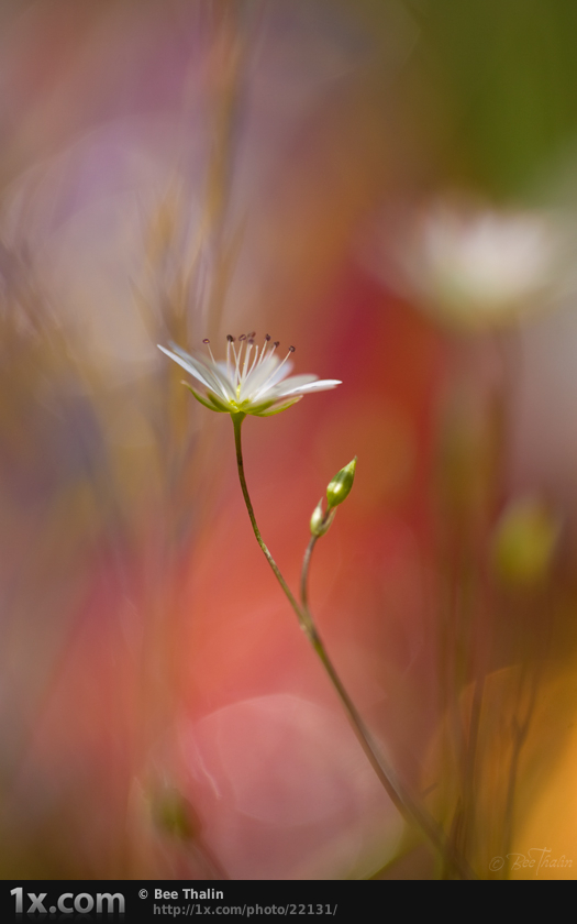 Spiritualitate si frumos...: Fotografii şi gânduri