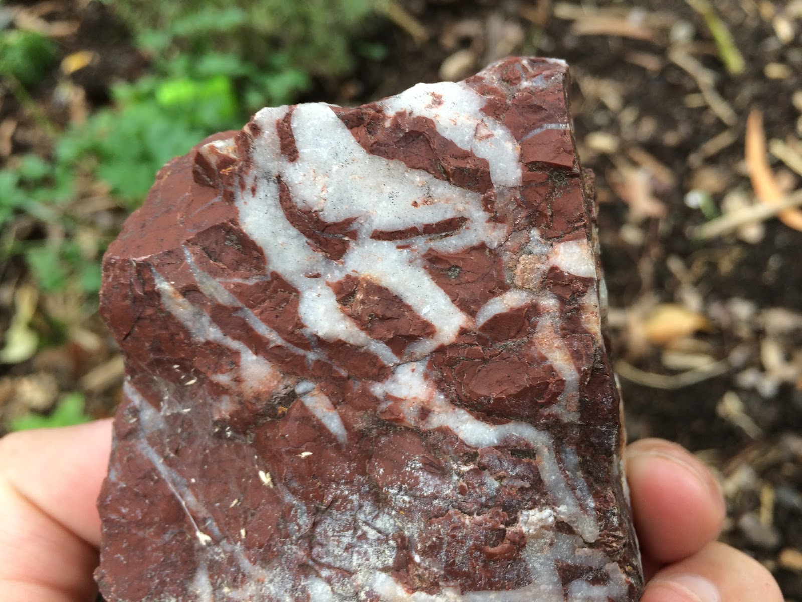Northern Rivers Geology: Stunning in Red and White