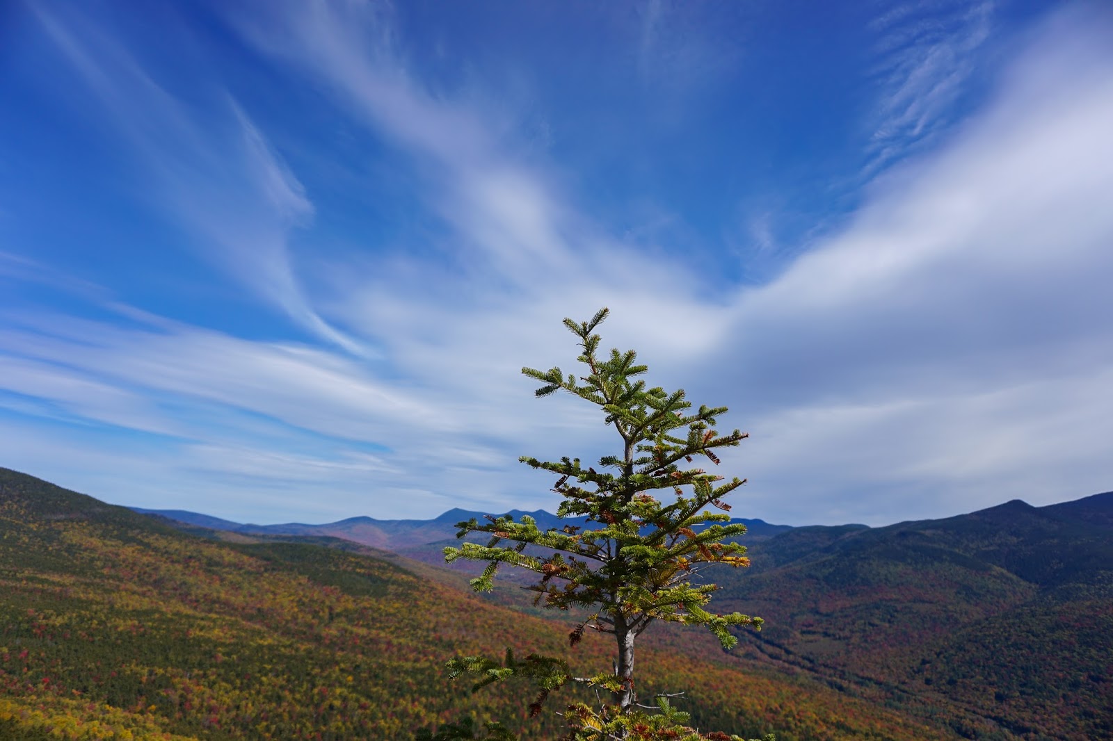 Fall Foliage Hike: Welch-Dickey Loop, Thornton, NH