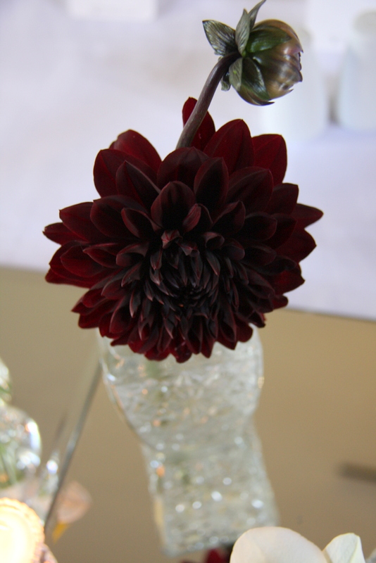 Michelle & Tom's Tudor Rose Wedding Day at Samlesbury Hall