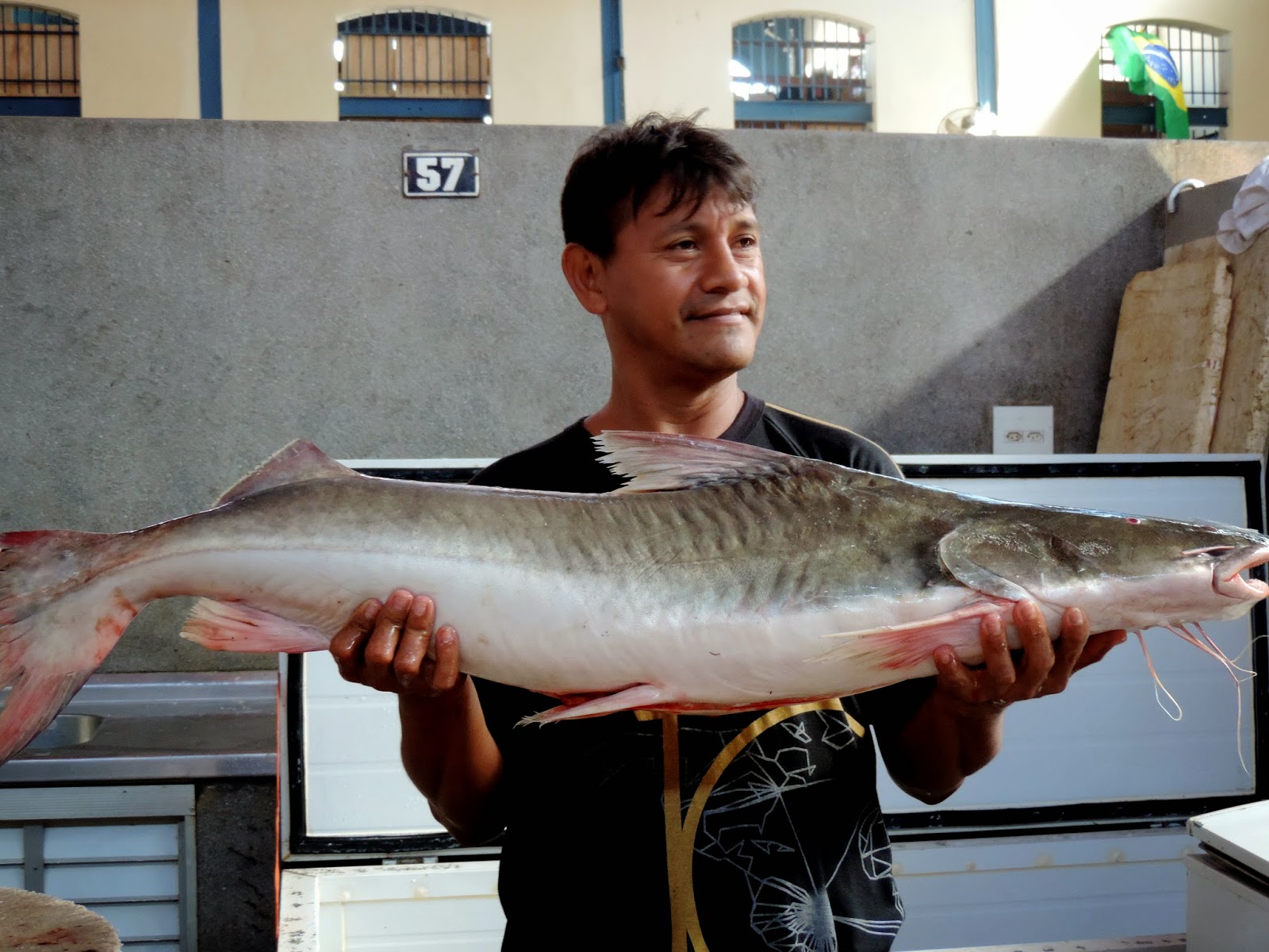 come-se: Peixes do Pará. E outros aquáticos