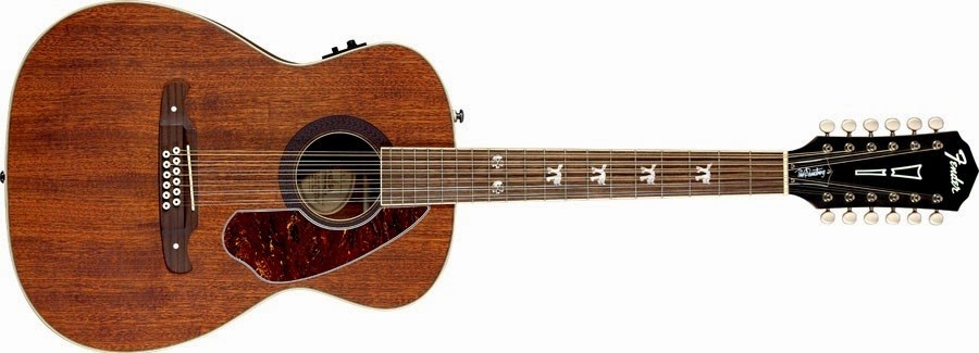 Guitar 12 String Acoustic