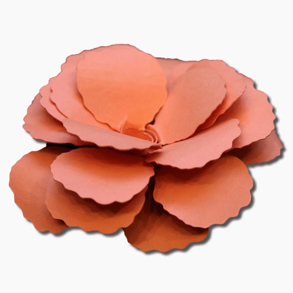 Rolled Paper Flowers | Bits of Paper