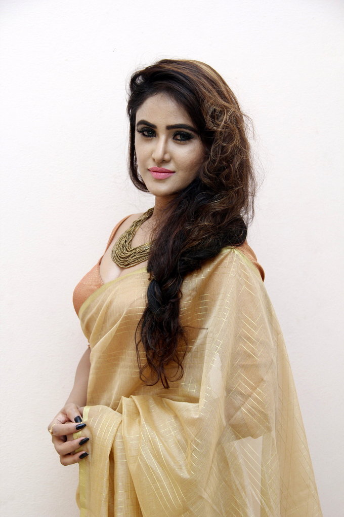 Telugu Hot Actress Sony Charishta latest Photos In Golden Brown Saree ...
